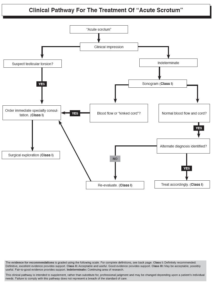 An Evidence Based Approach To Male Urogenital Emergencies 2848